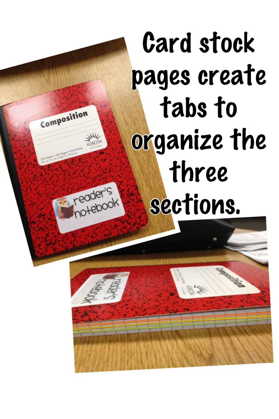 The Traveling Teacher: Reader's Notebooks